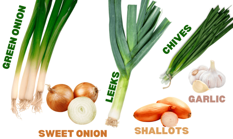 CUT ONIONS LIKE A PRO: 13 FOOLPROOF TIPS ON HOW TO CUT ONIONS WITHOUT ...
